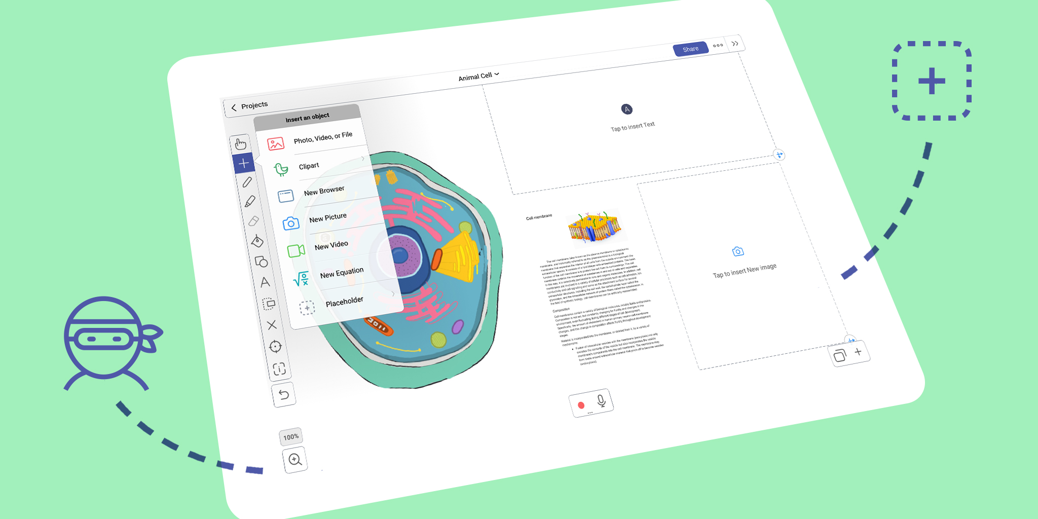 Stealth Zoom and Placeholders Now on Android and Chromebooks | Explain ...