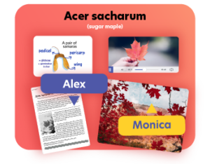 Explain Everything | Interactive Whiteboard for Teaching and Learning